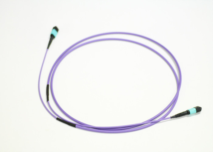 24 Cores Fiber Optic MPO MTP Cable Multimode OM4 OFNP Violet 100ft Length